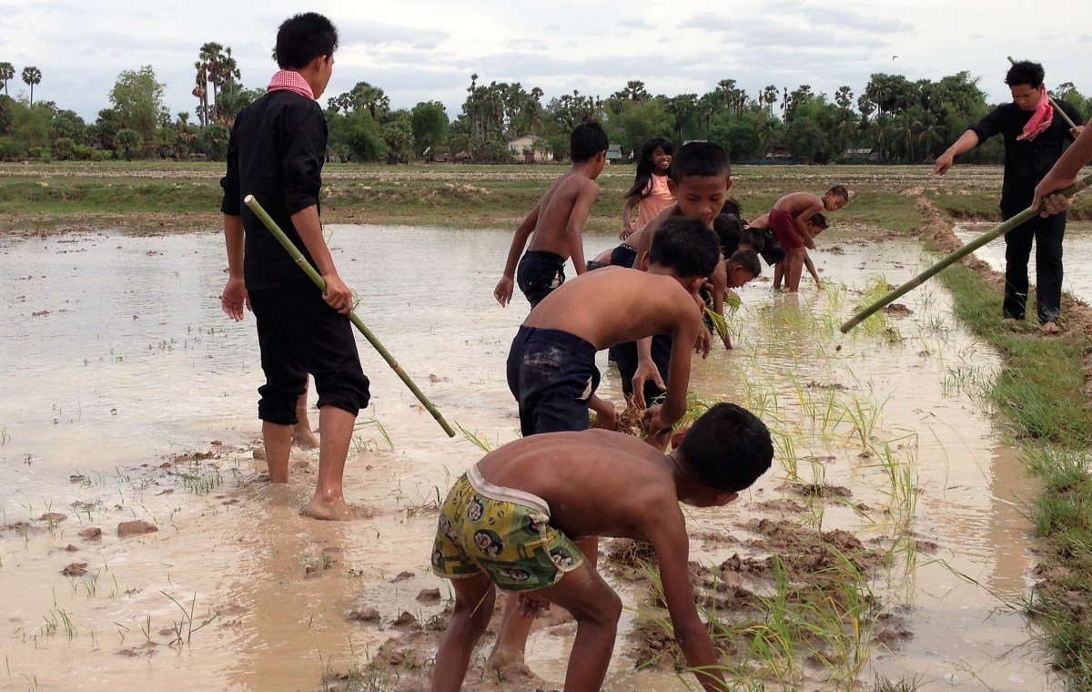 My Story – The Ly Family